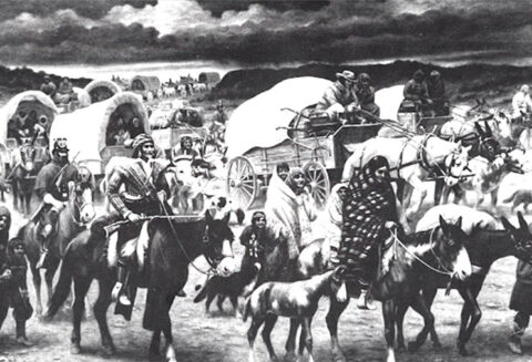 Imagining the Indian | The Fight Against Native American Mascoting